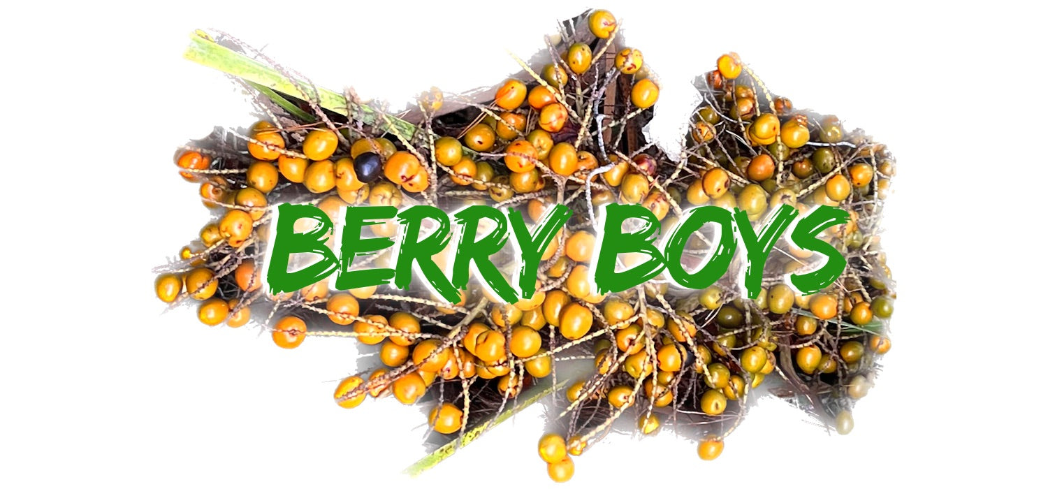 Berry Boys
